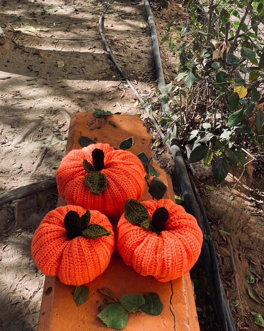 صِنّارَة و صُوف - Sinnara Souf